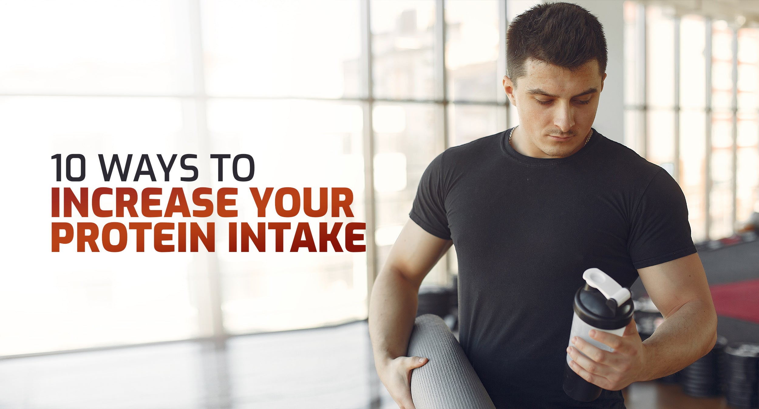 How to Increase & Complete Your Daily Protein Intake