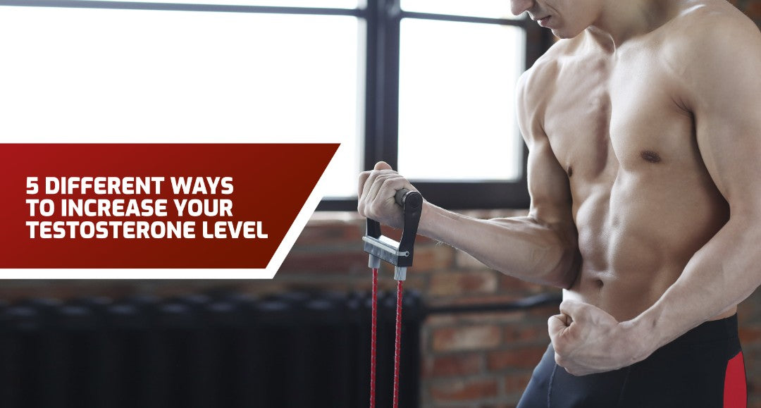 5 Different Ways to Increase Your Testosterone Level – Scitron