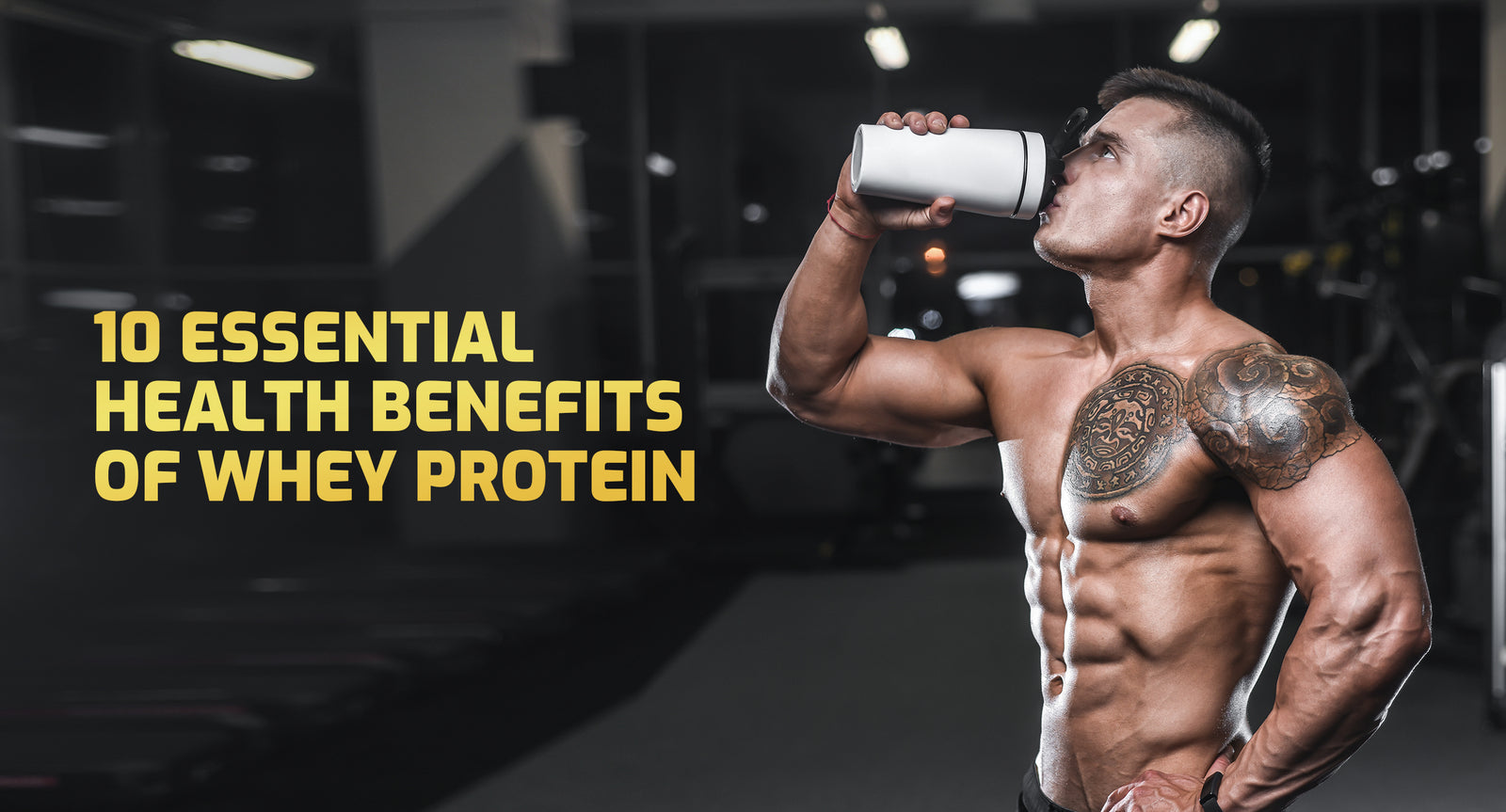 Whey Protein Benefits Beyond Basics | Scitron