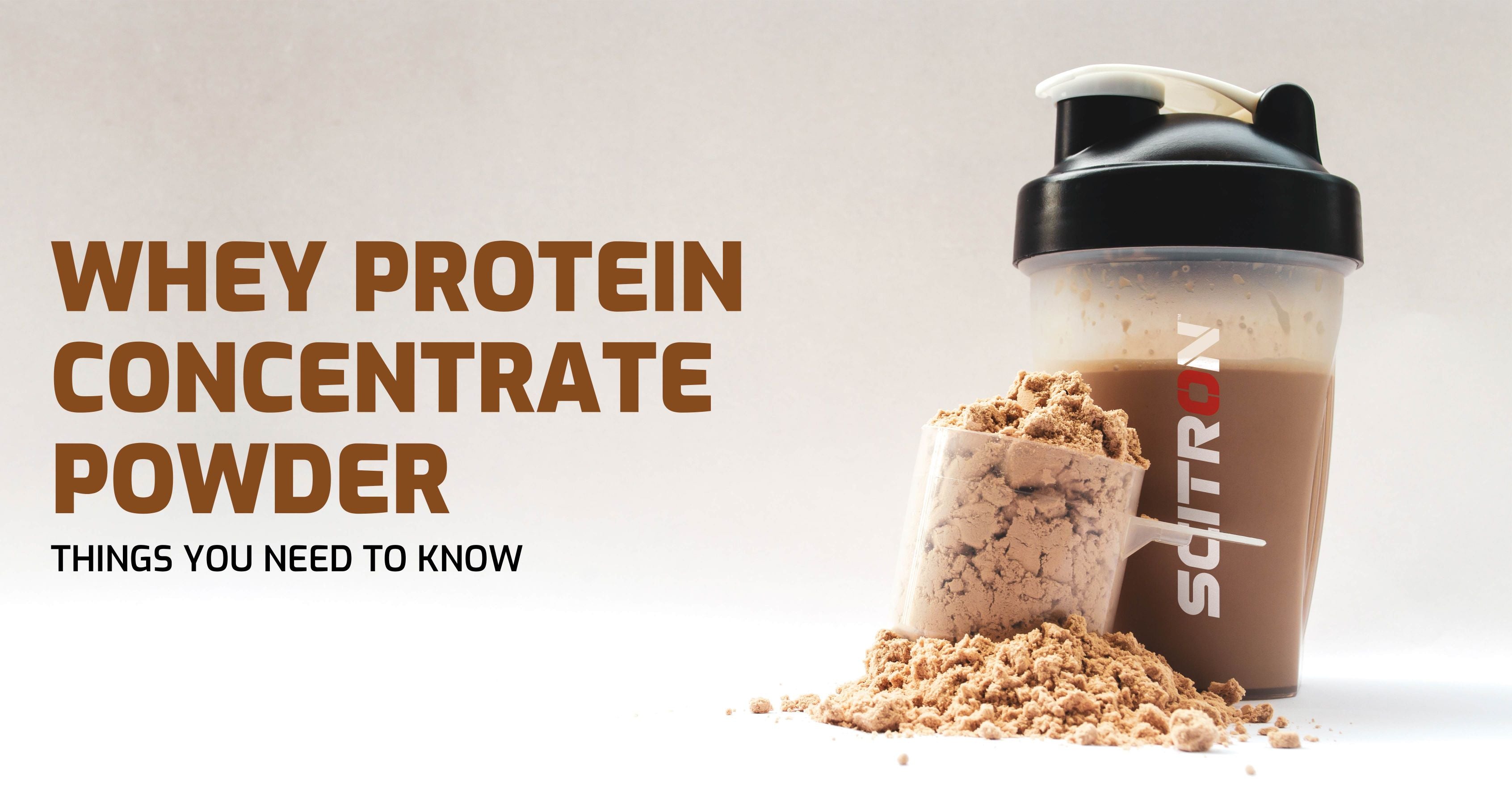 Whey Protein Concentrate Powder: Things that Need to Know
