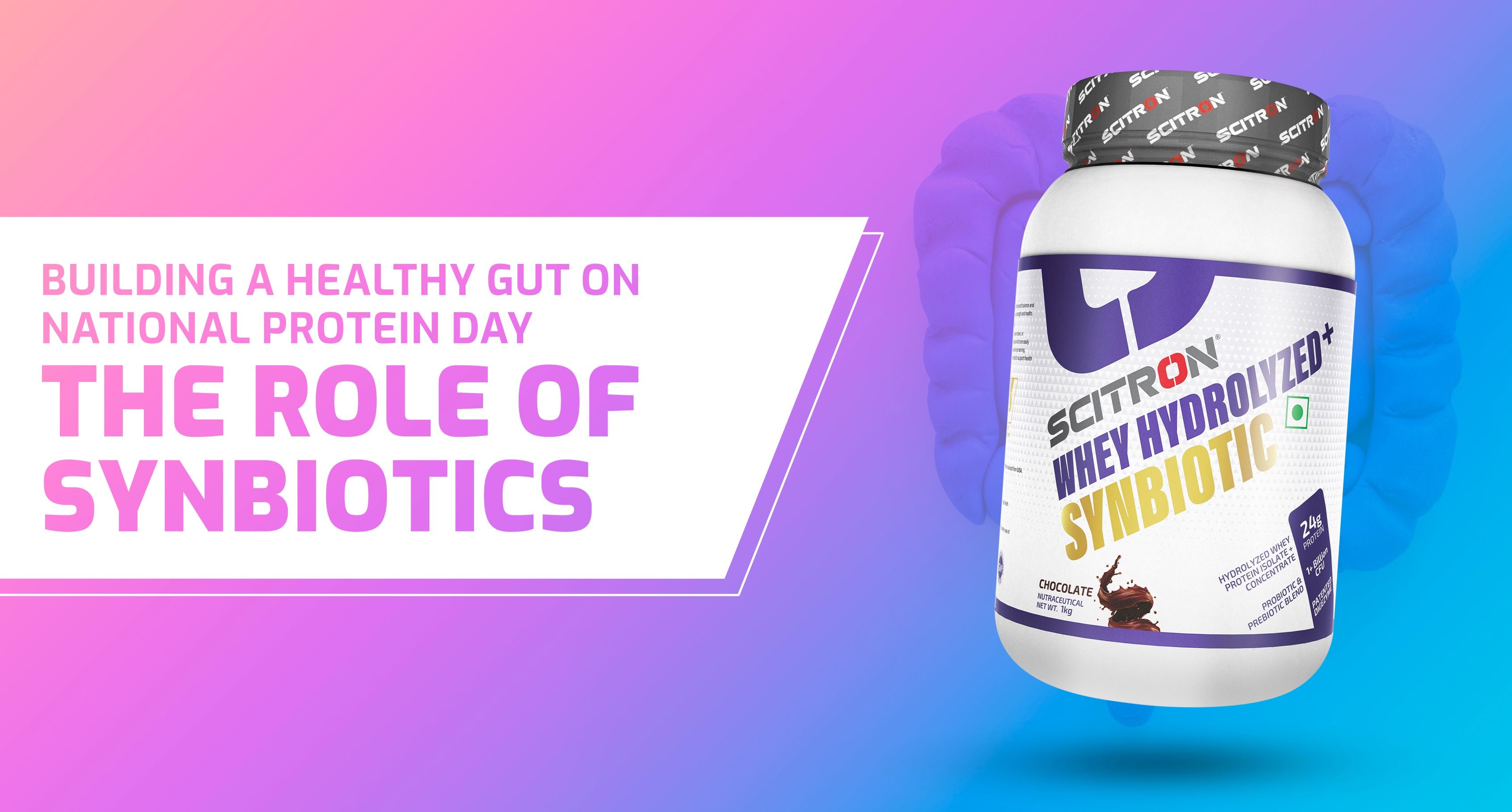 Protein powder to Improve gut health: Role of Synbiotic | Scitron