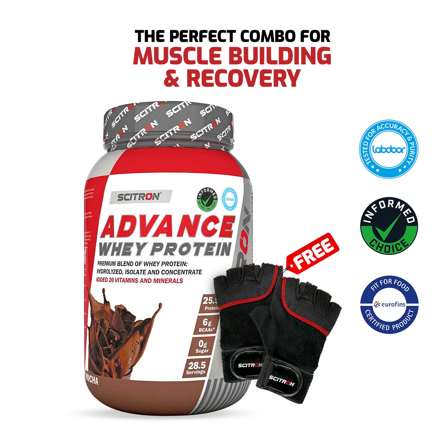 Buy Advance Whey Protein Online - Scitron