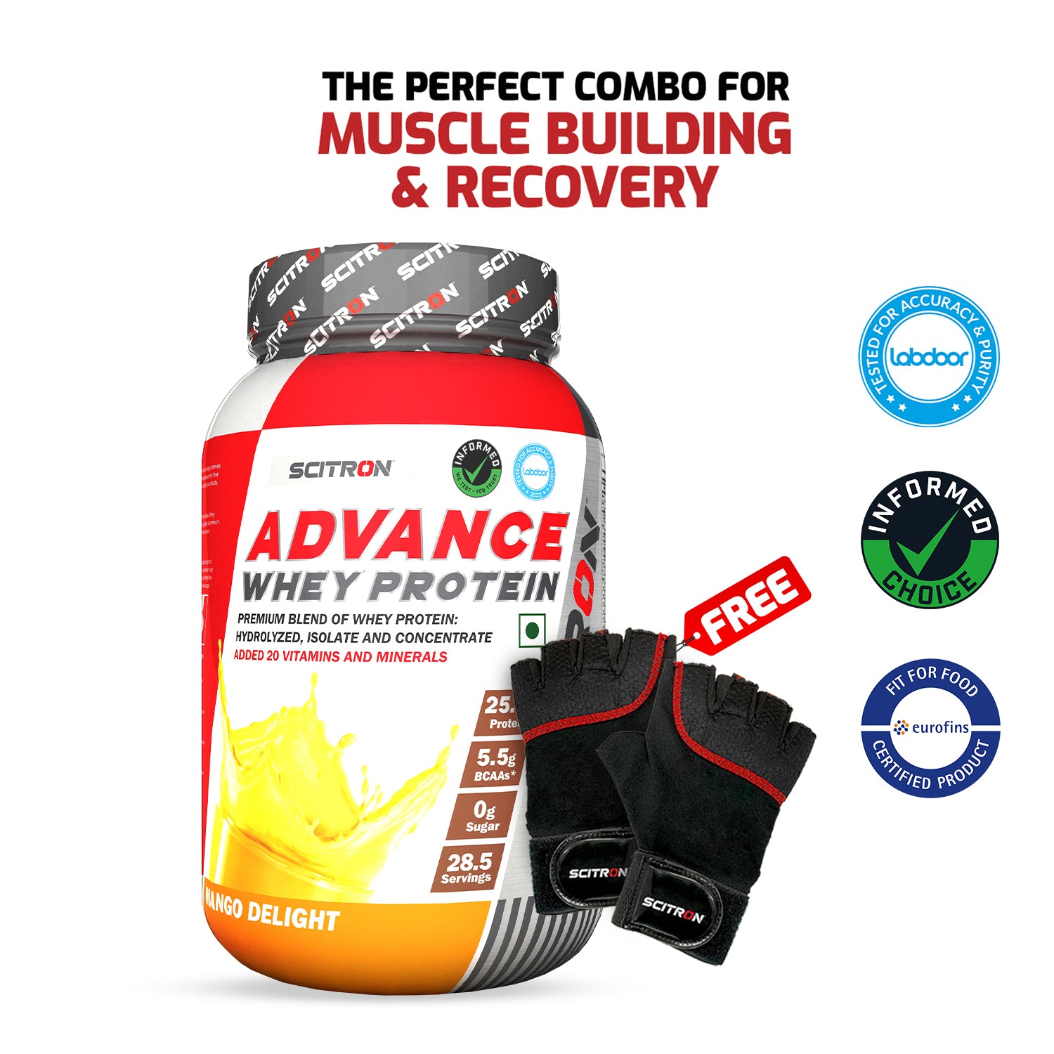 Buy Advance Whey Protein Online - Scitron